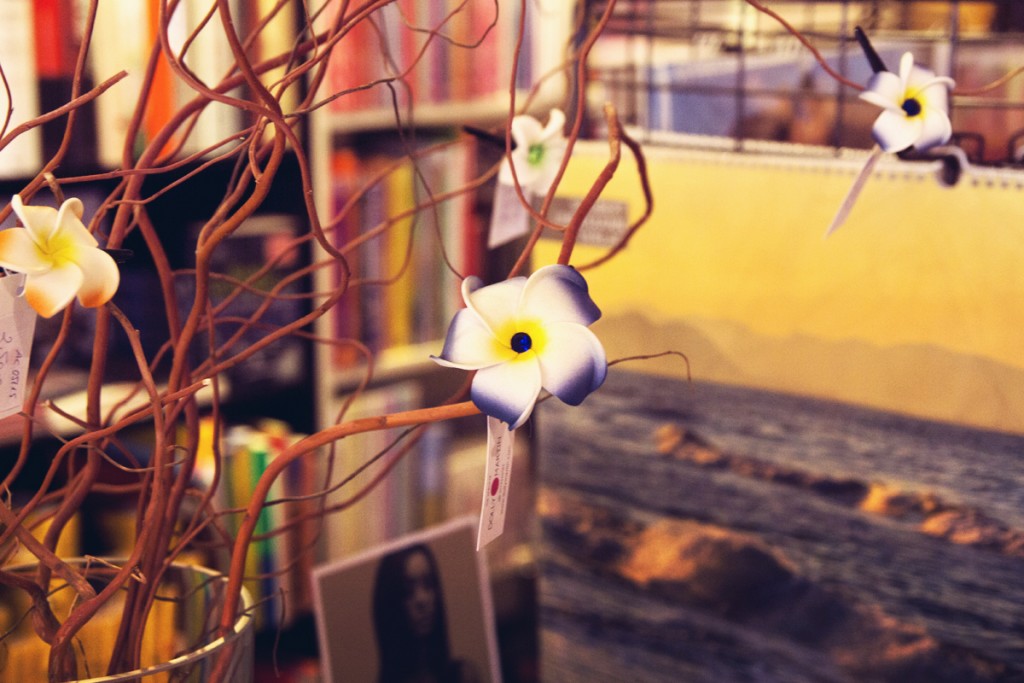 Buchhandlung Almut Schmidt: Ein Leuchtturm im Büchermeer - Förde Fräulein