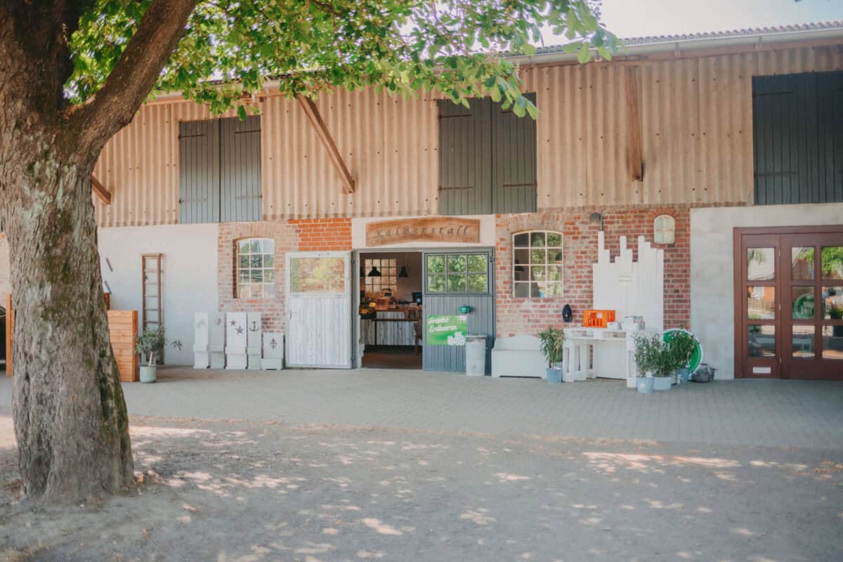 Sommerlicher Ausflugstipp: Beeren pflücken im Herzogtum Lauenburg - Förde Fräulein